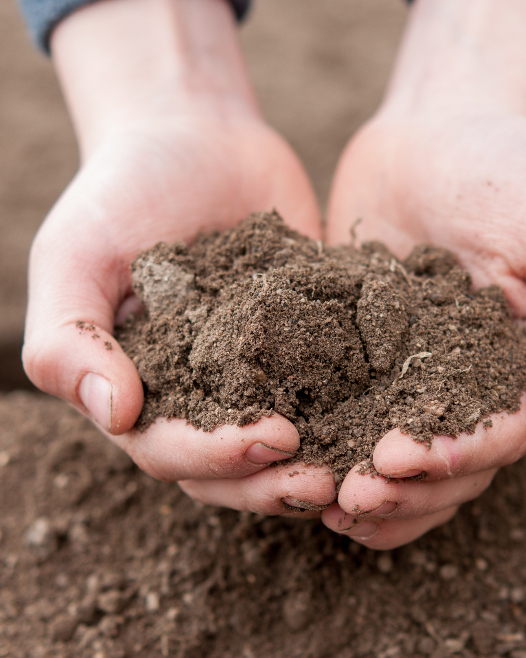 Park-mix jord | F. Bache AS | Levert hjem – F.Bache Pukk